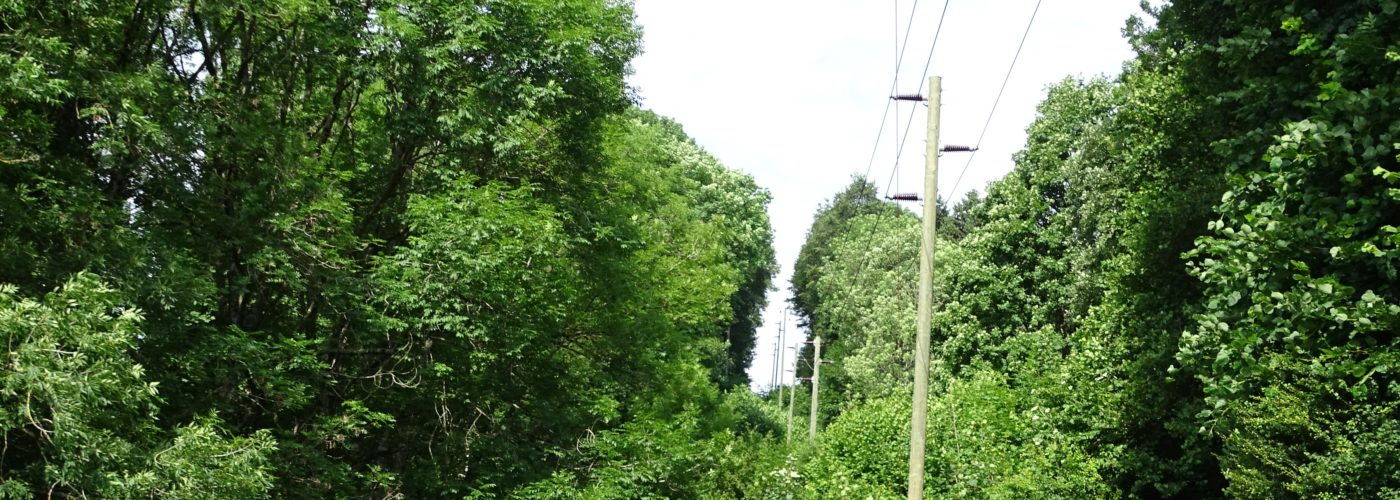 Une saison de dépannages - Sajet